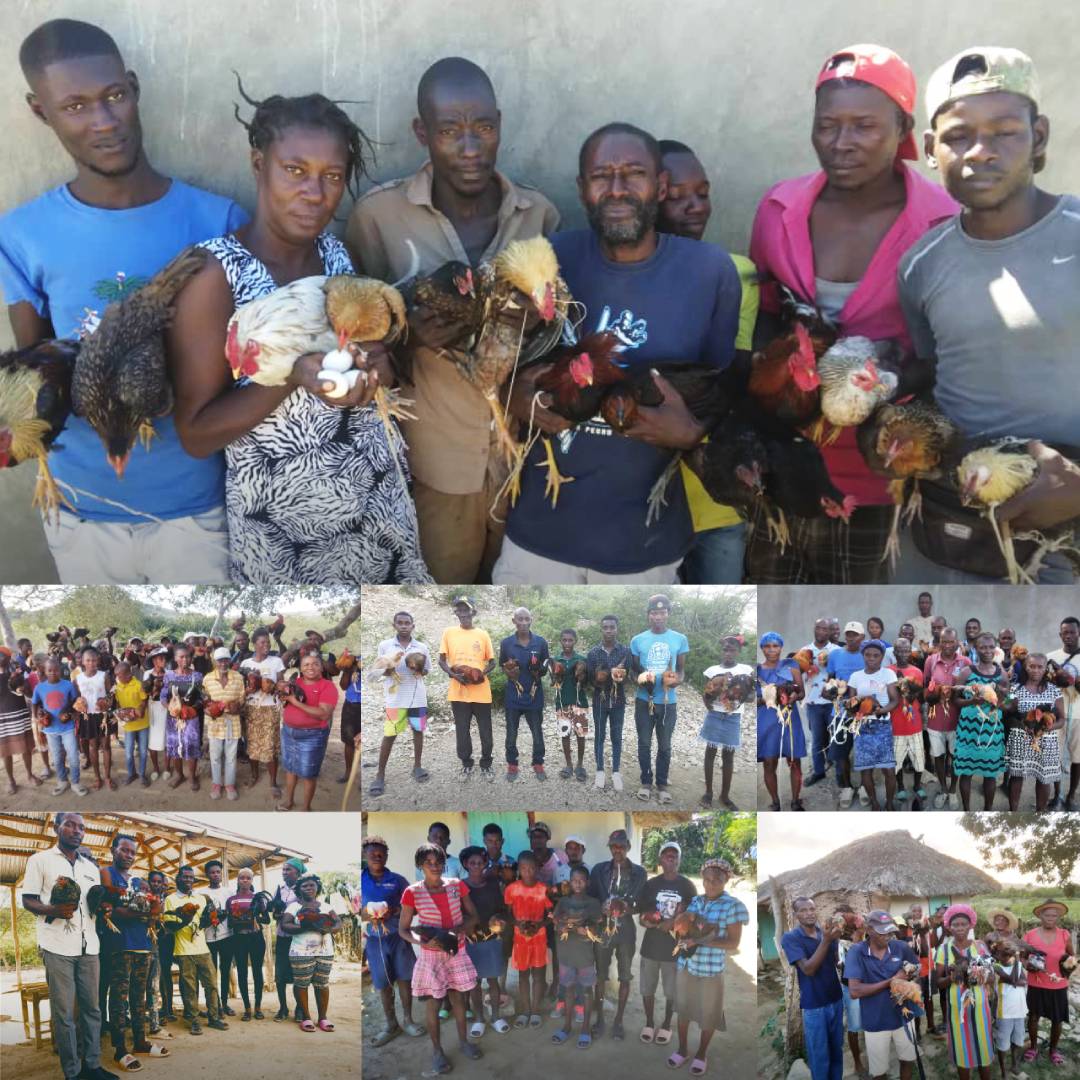 Haiti Sustainability Projects - Haitian Development Network Foundation
